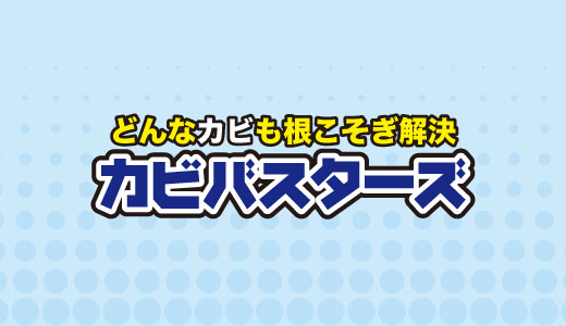 【袋井市掛之上】一軒家の床下に広がる湿気とカビを現地調査しました│カビ取り・カビ対策専門業者のカビバスターズ静岡